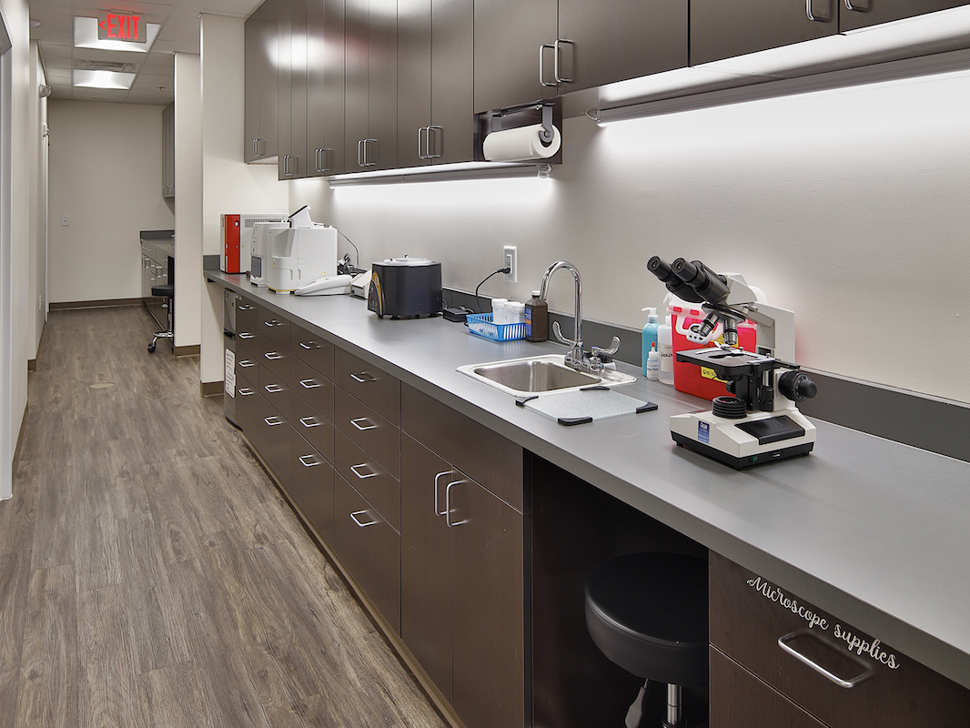 Take a Tour — Urban Tails Veterinary Hospital